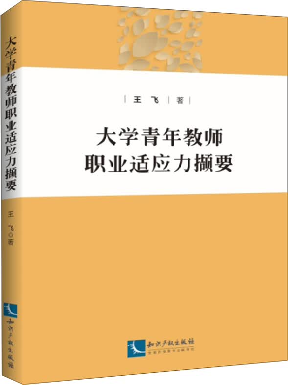 大学青年教师职业适应力撷要