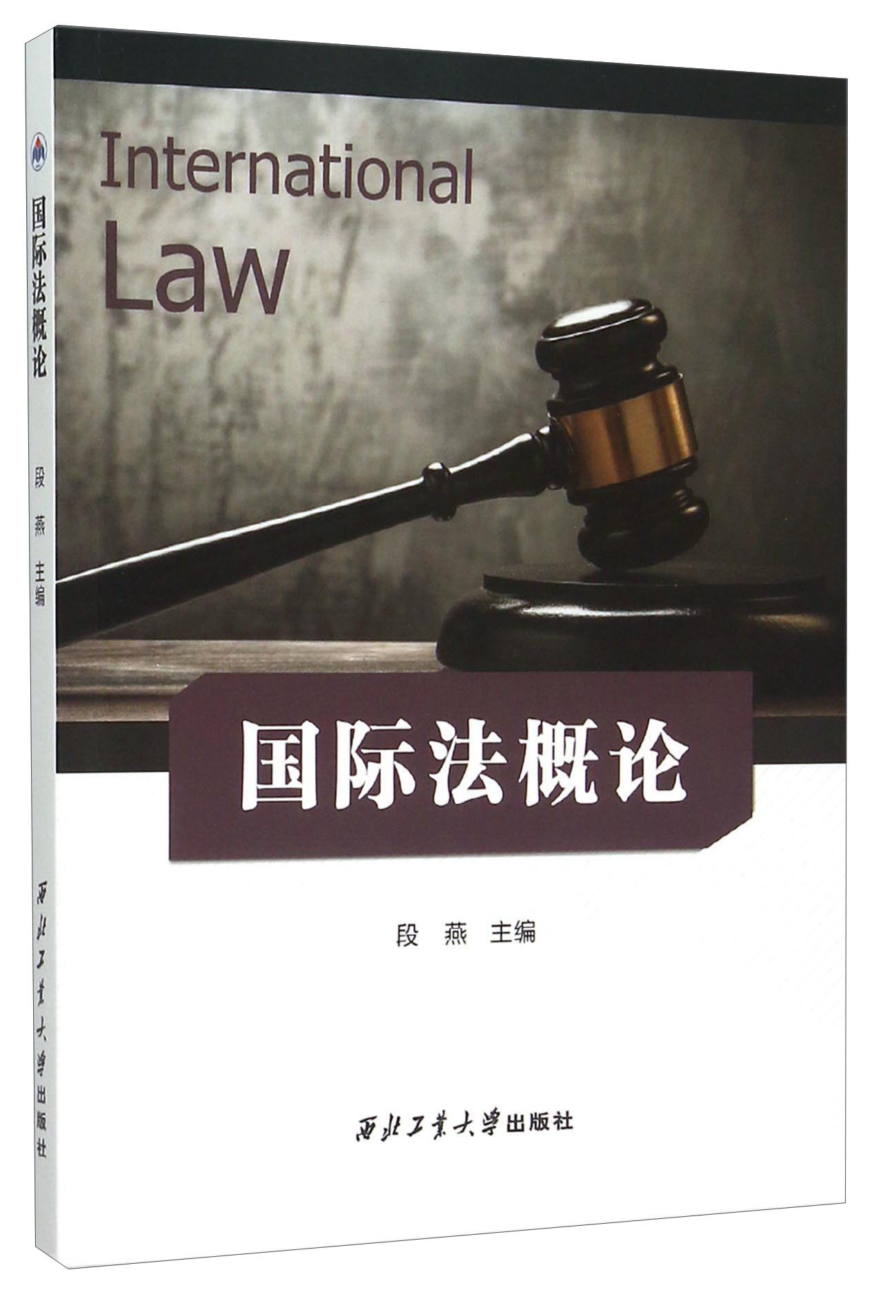 国际法概论