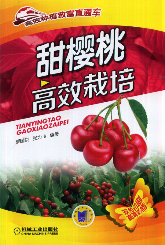 高效种植致富直通车：甜樱桃高效栽培