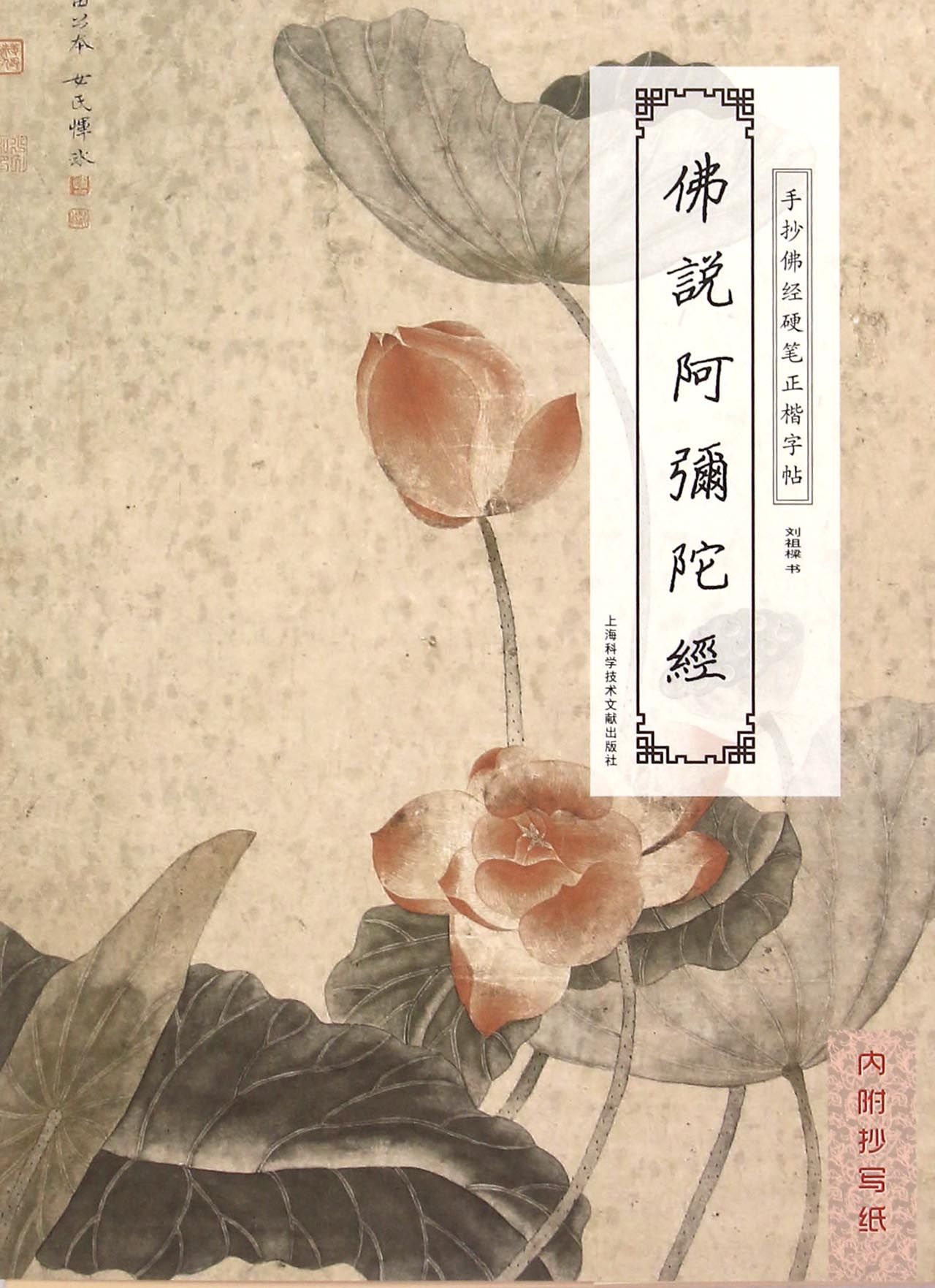 佛说阿弥陀经/手抄佛经硬笔正楷字帖