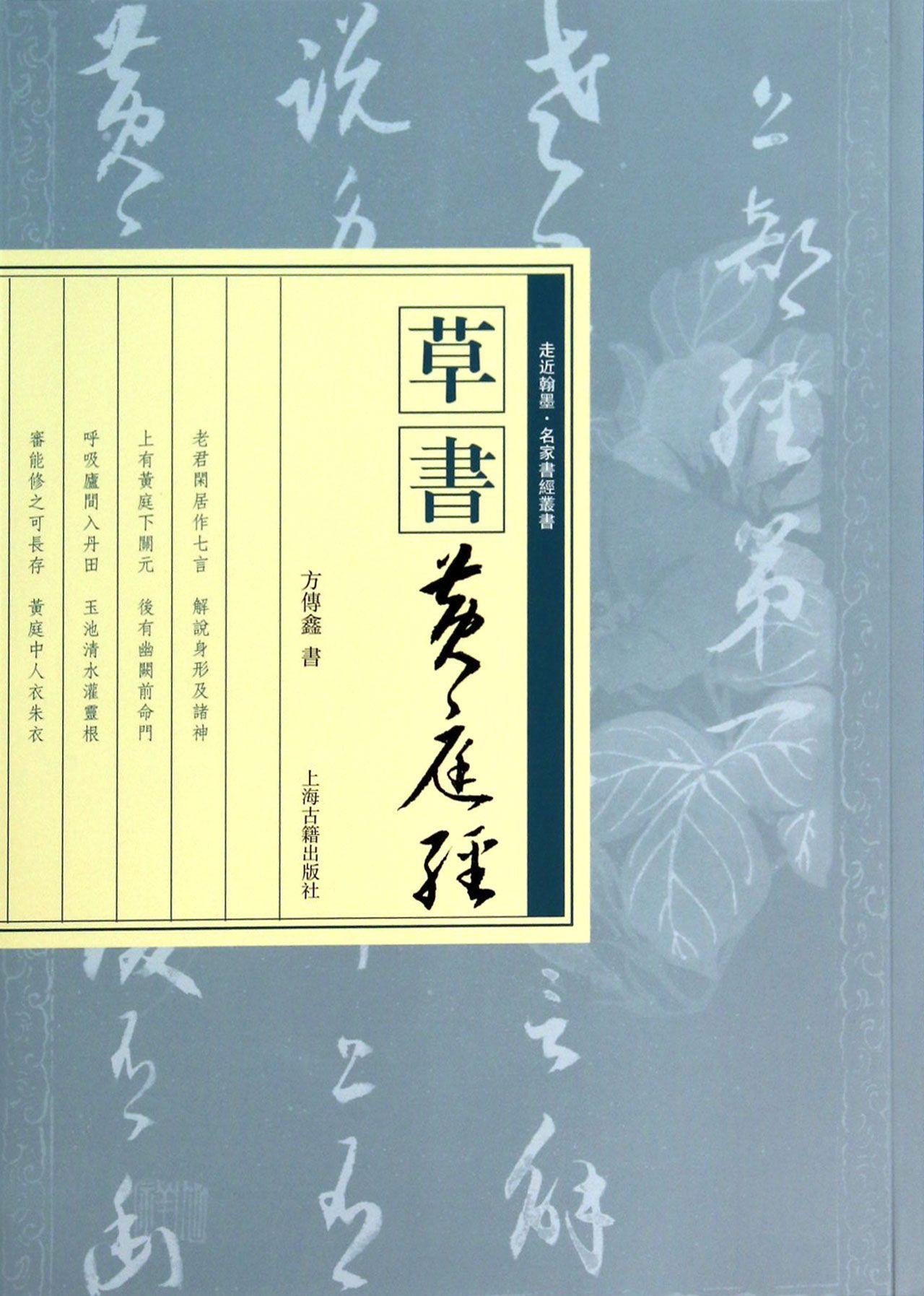 草书黄庭经/走近翰墨名家书经丛书