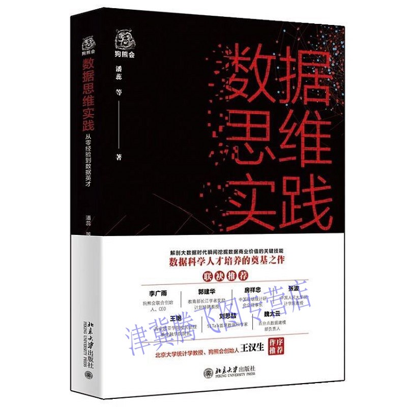 现货】数据思维实践：从零经验到数据英才 潘蕊 著 北京大学出版社