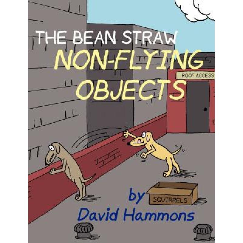 The Bean Straw: Non-Flying Objects