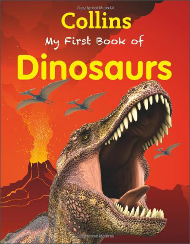 My First Book Of Dinosaurs