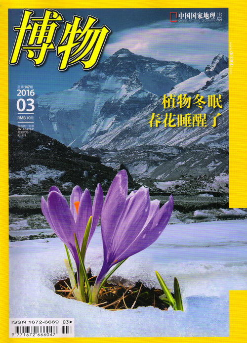 博物（2016年3月号）