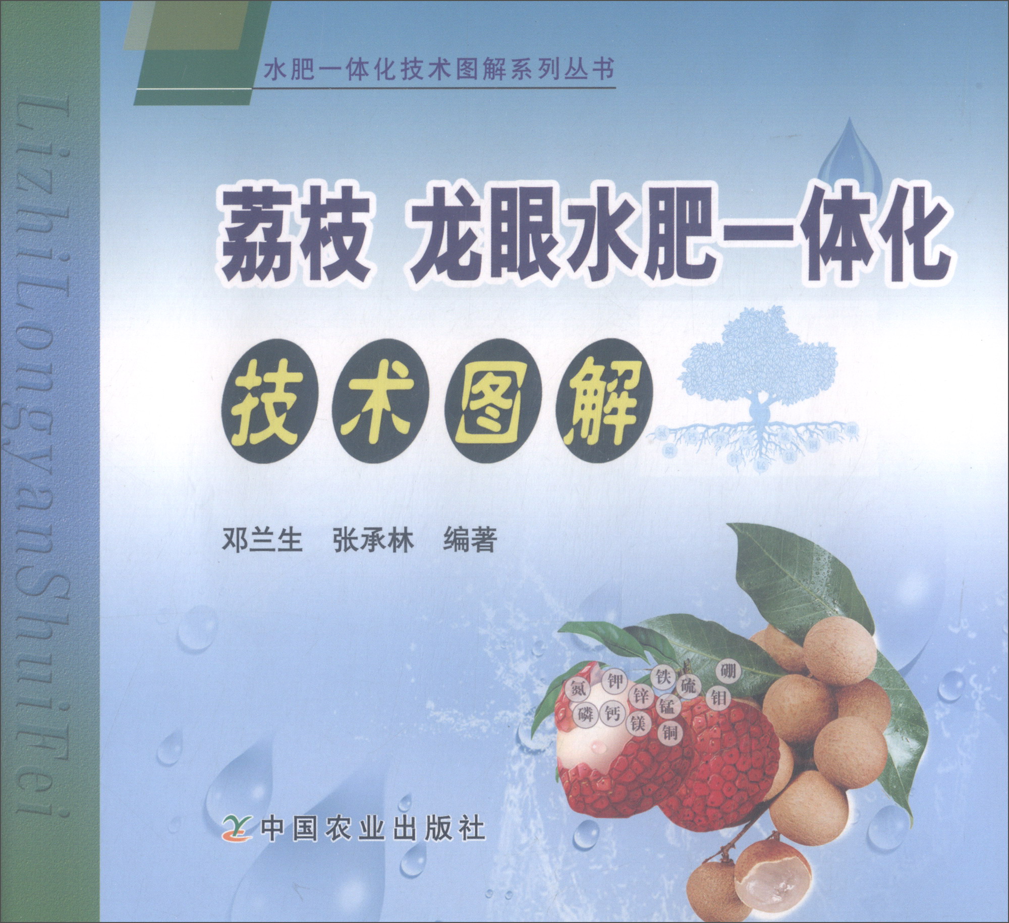 荔枝龙眼水肥一体化技术图解