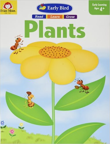 Evan Moor 报晓鸟系列 植物 三岁以上 Early Bird Plants age 4+