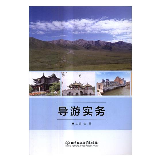 导游实务 旅游/地图 书籍