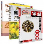 高效养蜂+蜜蜂养殖实用技术+蜜蜂高效养殖技术一本通（共3册）