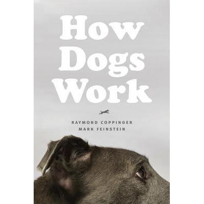 How Dogs Work