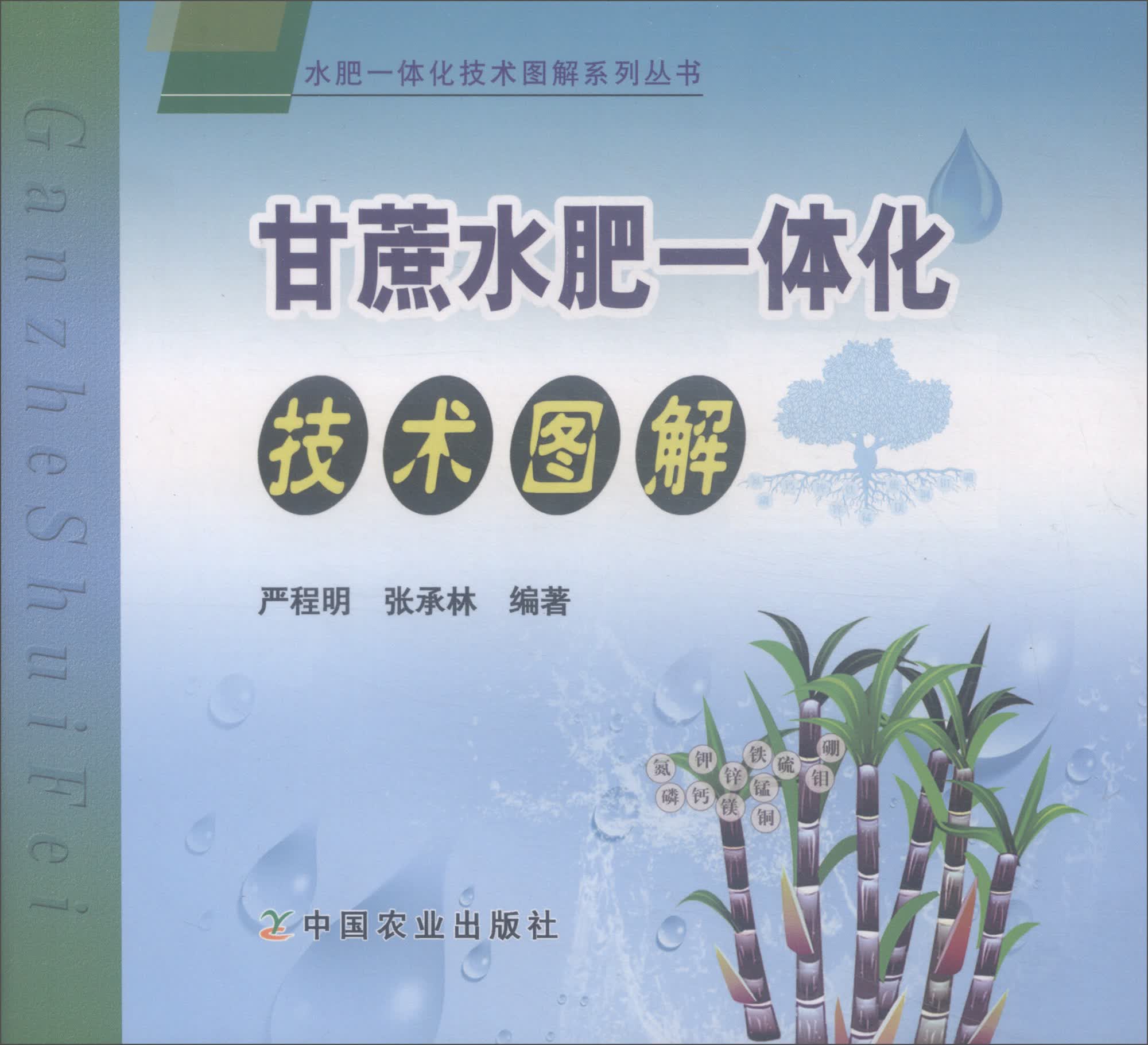 甘蔗水肥一体化技术图解