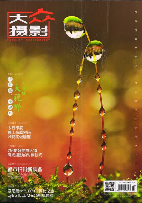 大众摄影（2016年2A月号）