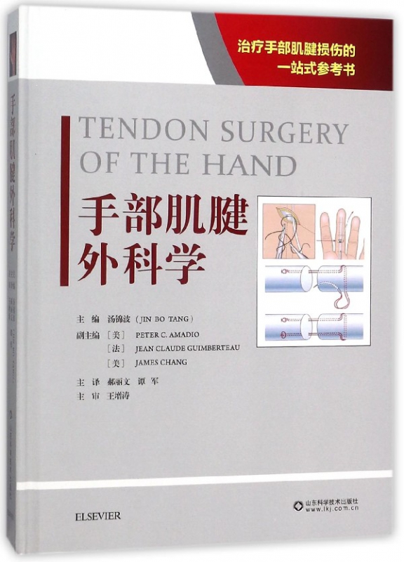 手部肌腱外科学(精)