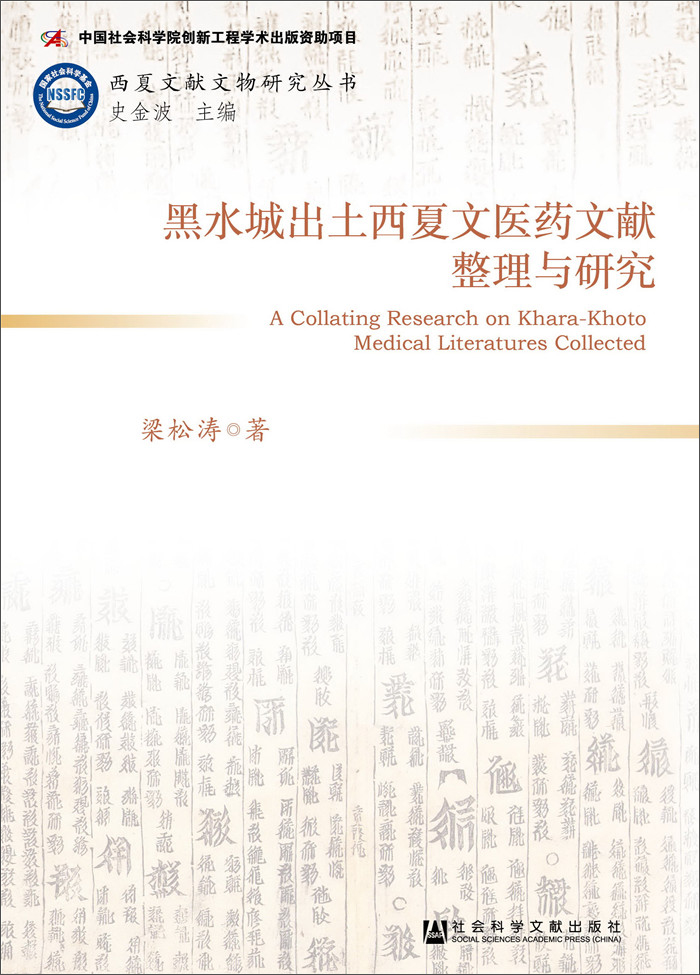 黑水城出土西夏文医药文献整理与研究