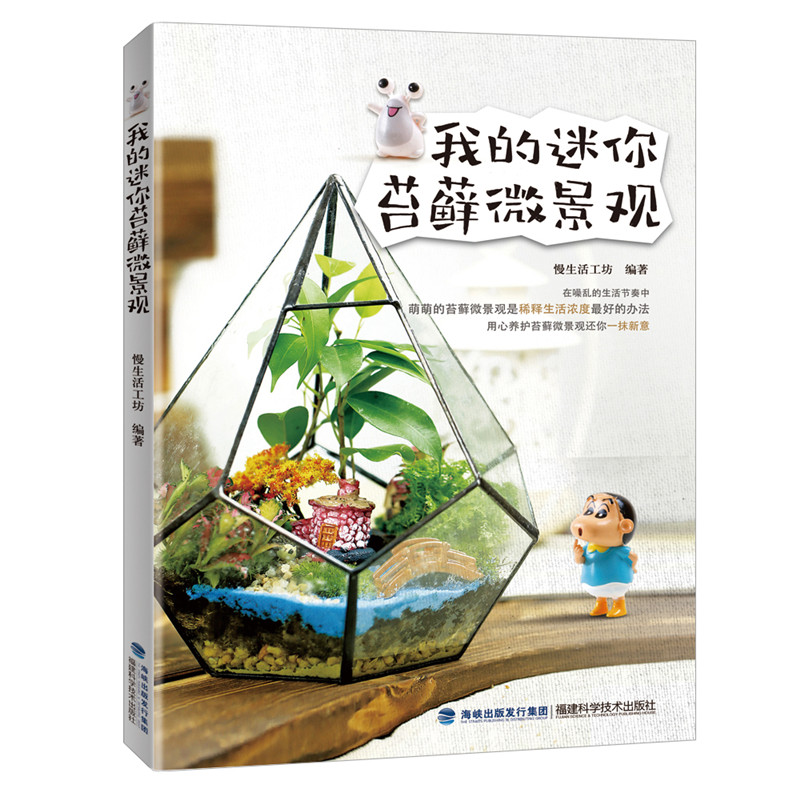 我的迷你苔藓微景观