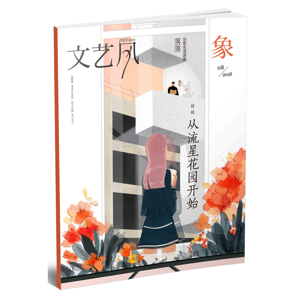文艺风象：从流星花园开始