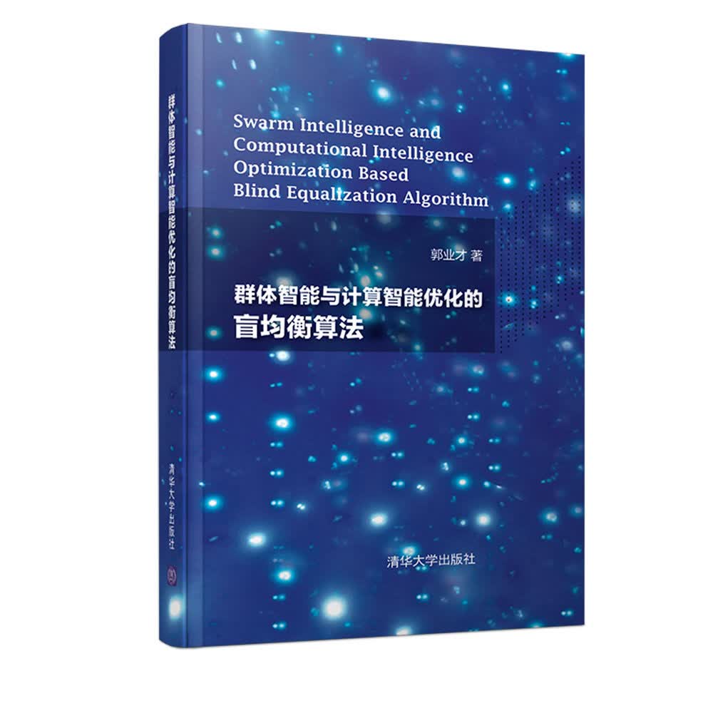 群体智能与计算智能优化的盲均衡算法
