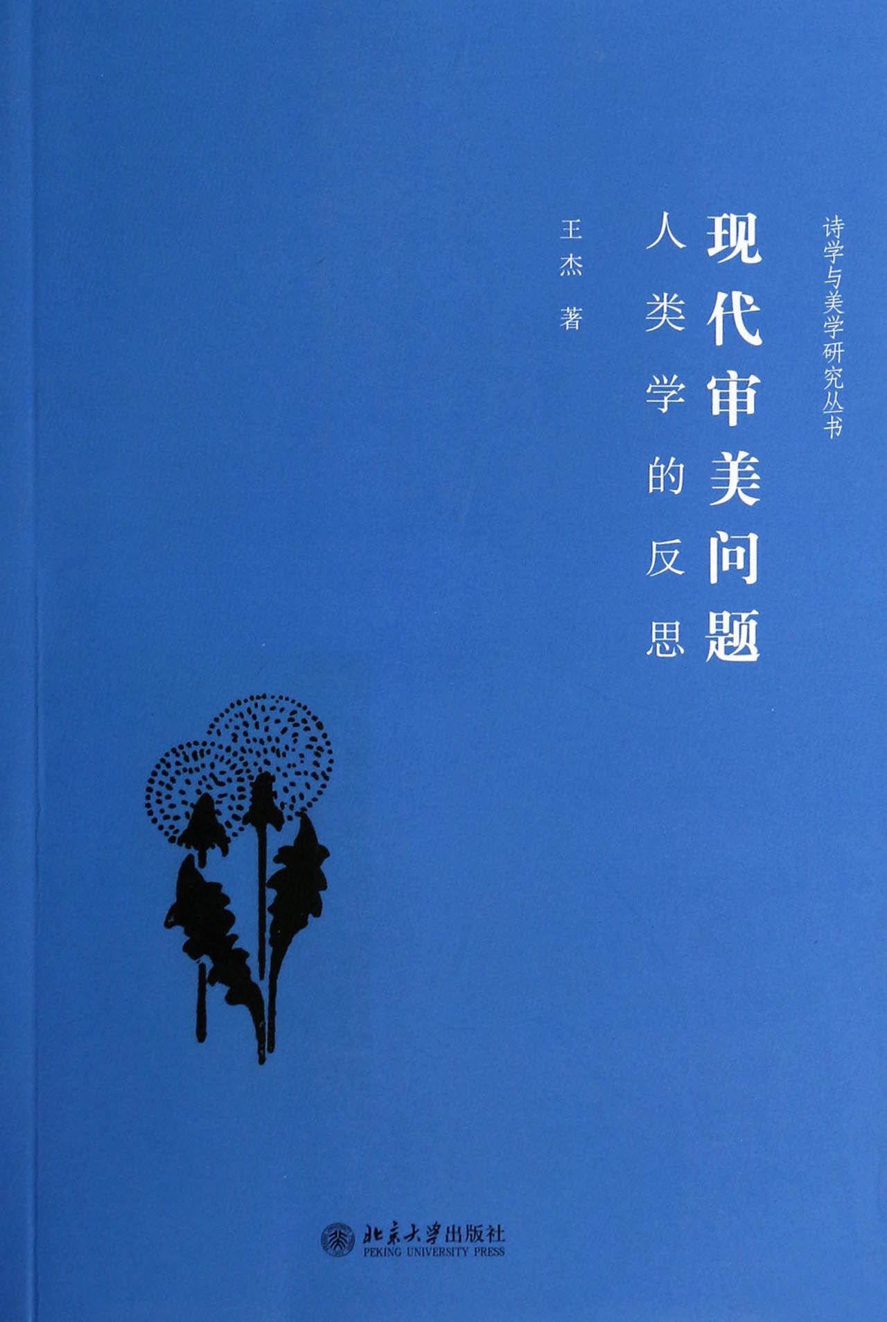 现代审美问题(人类学的反思)/诗学与美学研究丛书