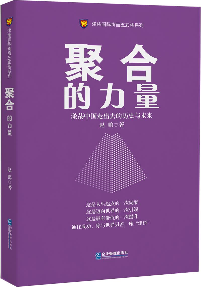 聚合的力量--游荡中国走出去的历史与未来9787516411346