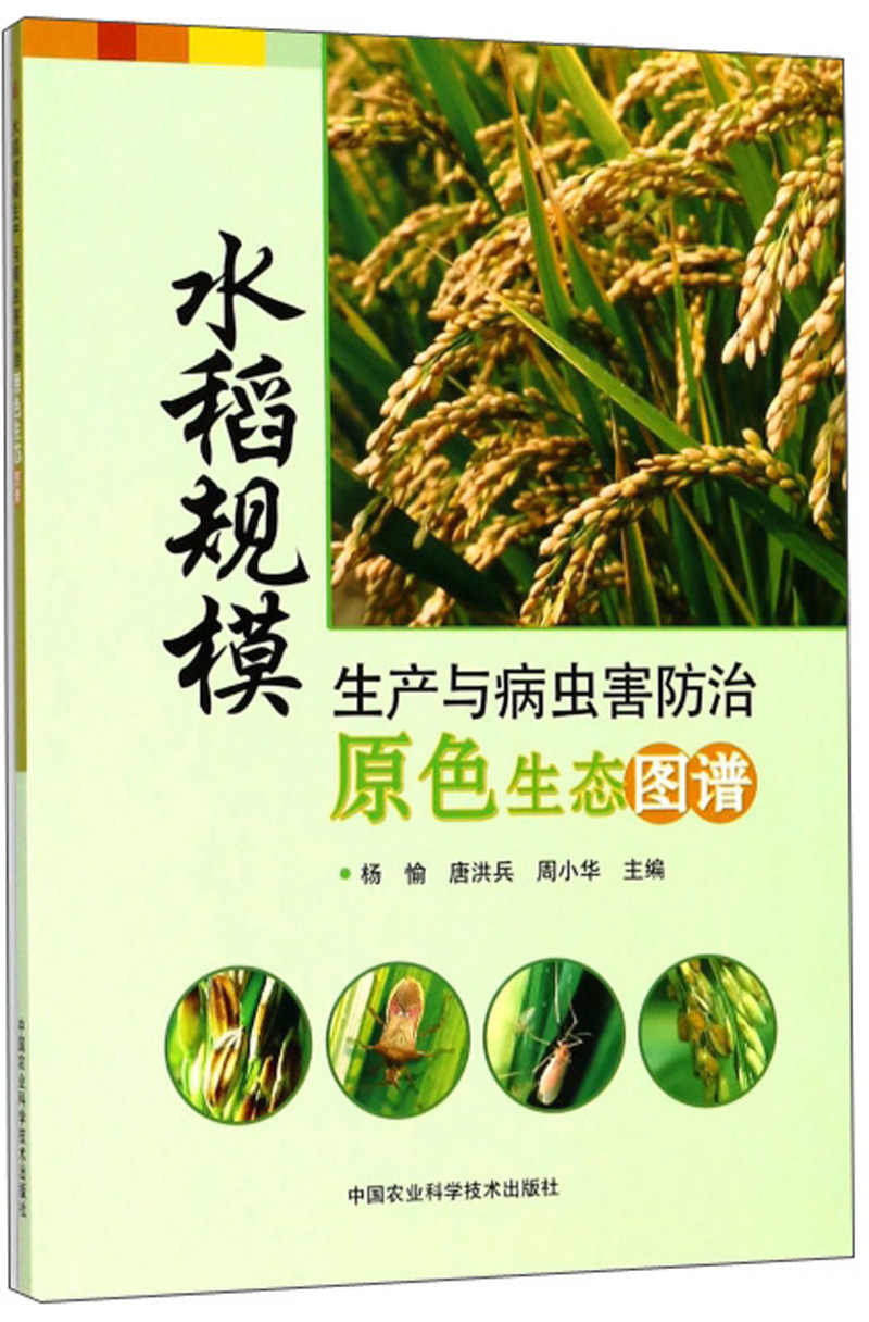 水稻规模生产与病虫害防治原色生态图谱