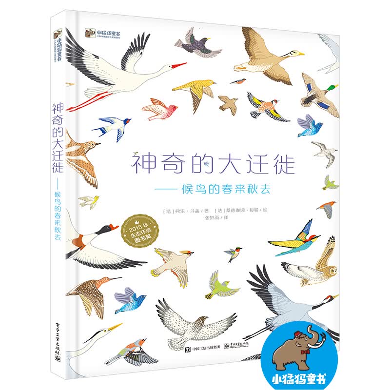 神奇的大迁徙――候鸟的春来秋去（精装版）（全彩）
