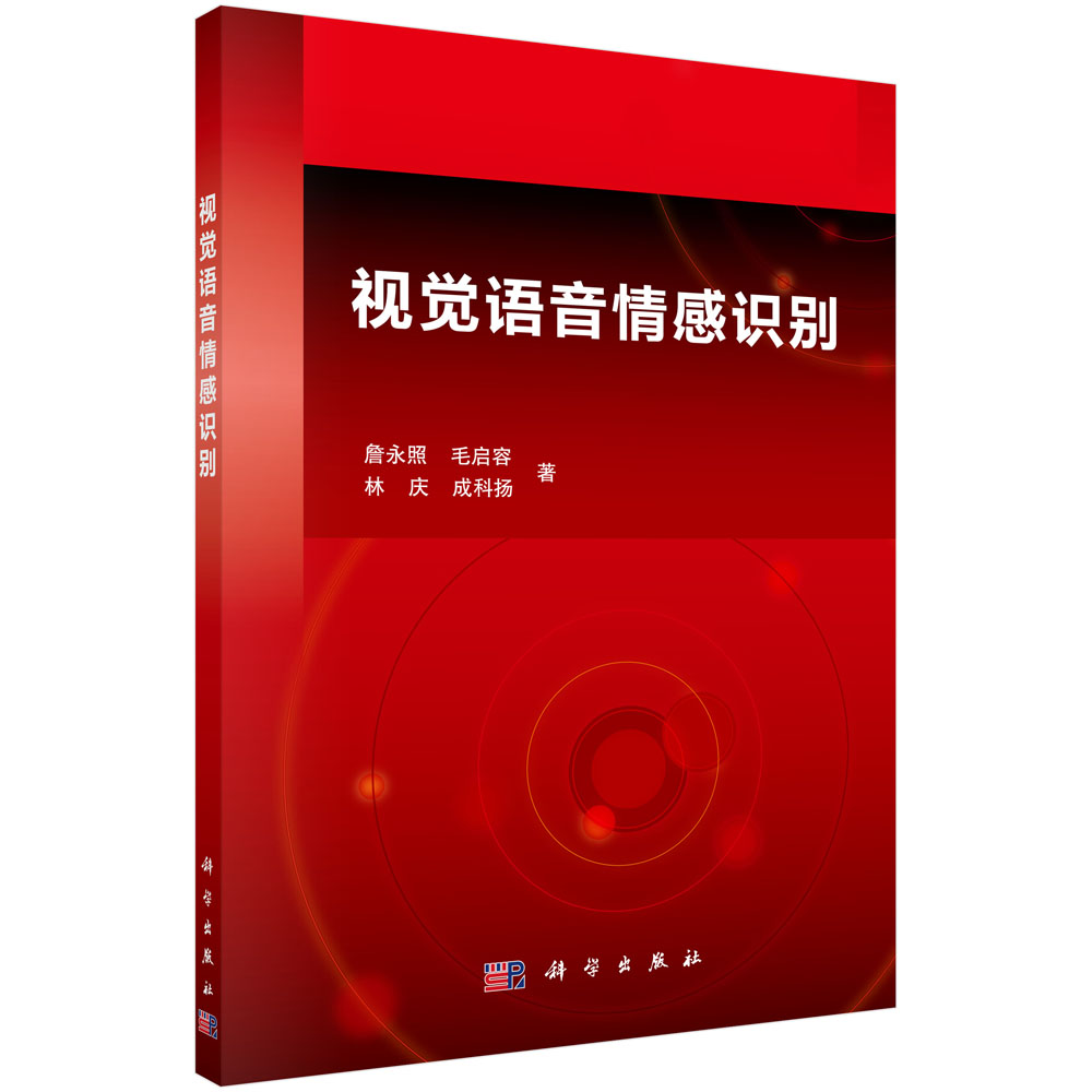 视觉语音情感识别