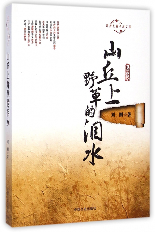 山丘上野草的泪水/跨度长篇小说文库