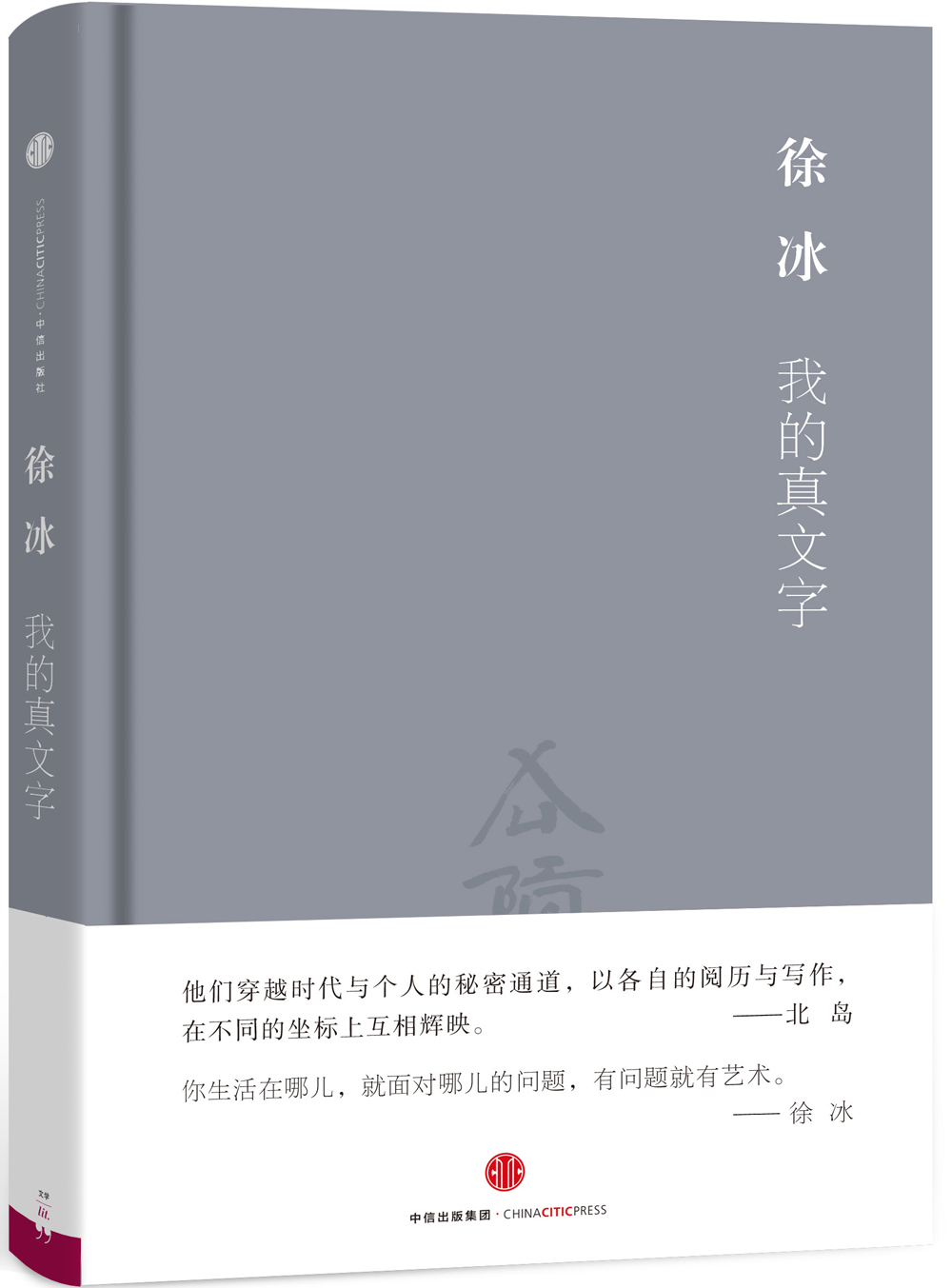 我的真文字 视野丛书