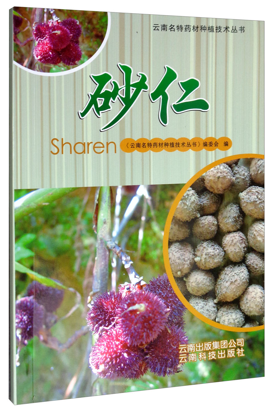 砂仁/云南名特药材种植技术丛书
