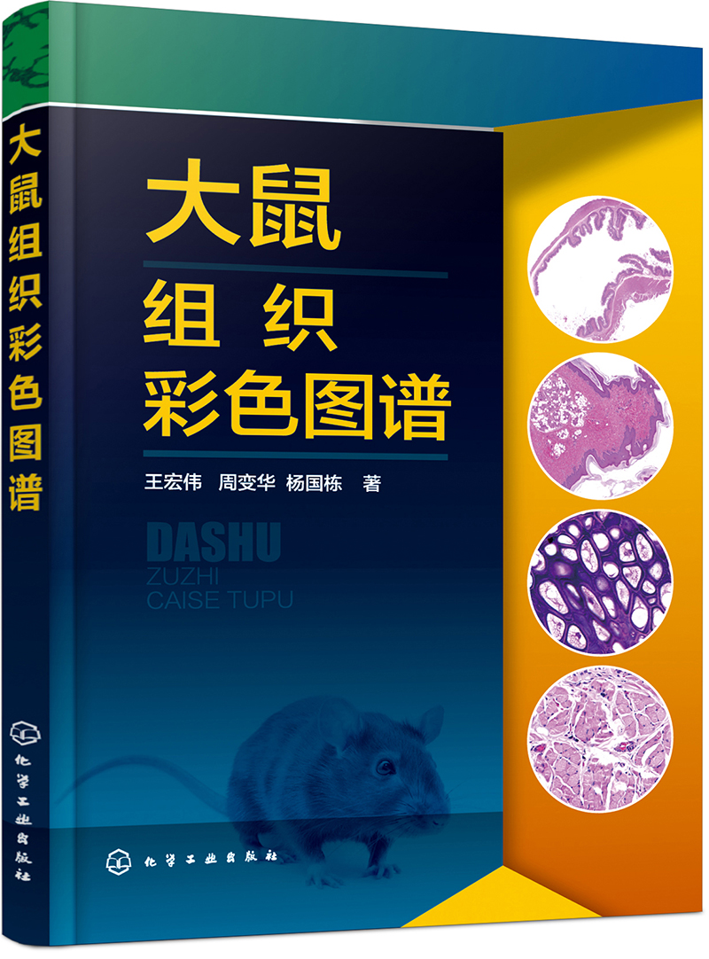 大鼠组织彩色图谱（全彩）