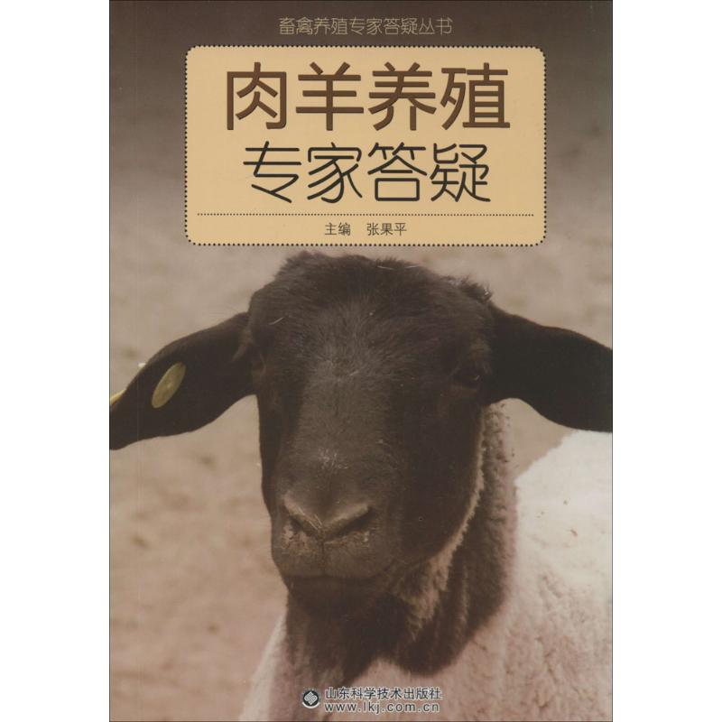 肉羊养殖专家答疑