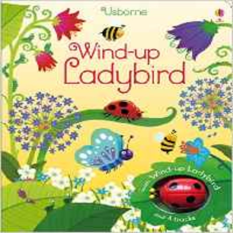 现货 英文原版 Wind-Up Ladybird 上发条的小瓢虫 Usborne 彩虹气球