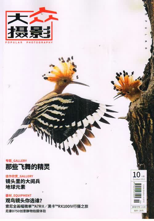 大众摄影（2015年10A月号）