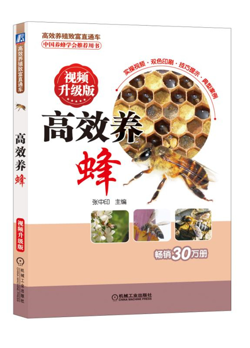 高效养蜂 视频升级版