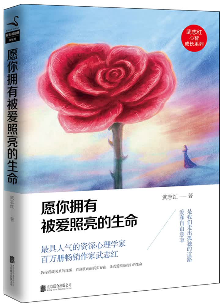 武志红心智成长系列：愿你拥有被爱照亮的生命