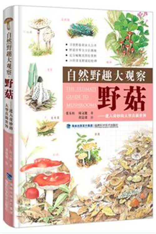 自然野趣大观察·野菇