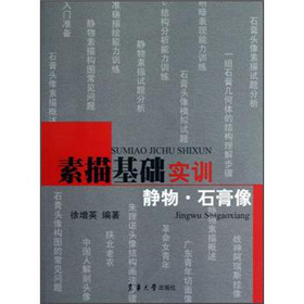 素描基础实训静物石膏像
