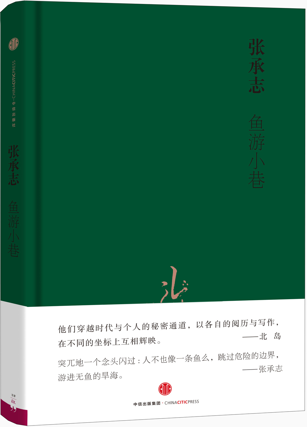 鱼游小巷 视野丛书 中信出版社