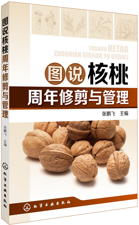 图说核桃周年修剪与管理