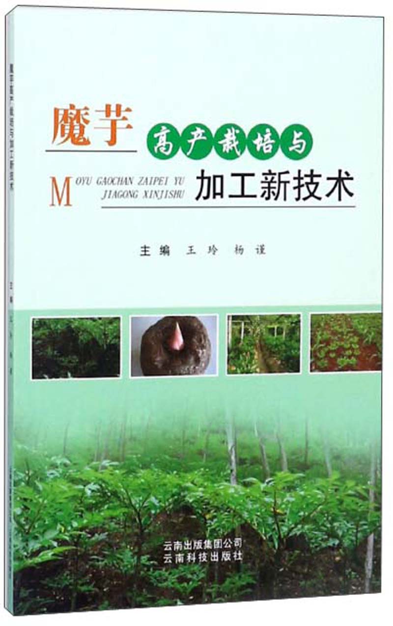 魔芋高产栽培与加工新技术