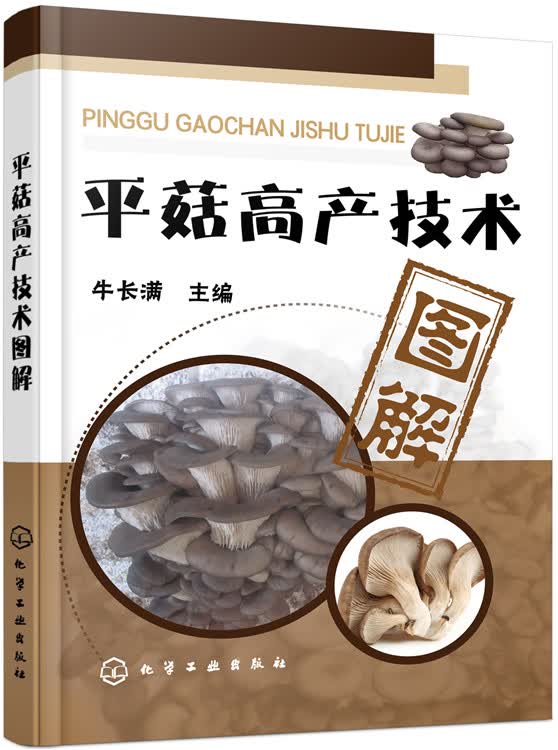 平菇高产技术图解