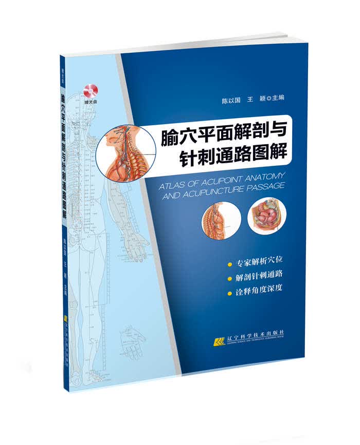 腧穴平面解剖与针刺通路图解（附光盘）