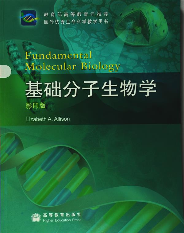 国外优秀生命科学教学用书：基础分子生物学（影印版）（附光盘）