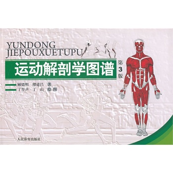 现货 运动解剖学图谱(第3版) 顾德明,缪进昌著,丁誉声 9787500943815