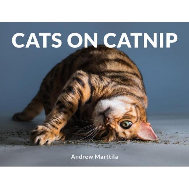 Cats on Catnip