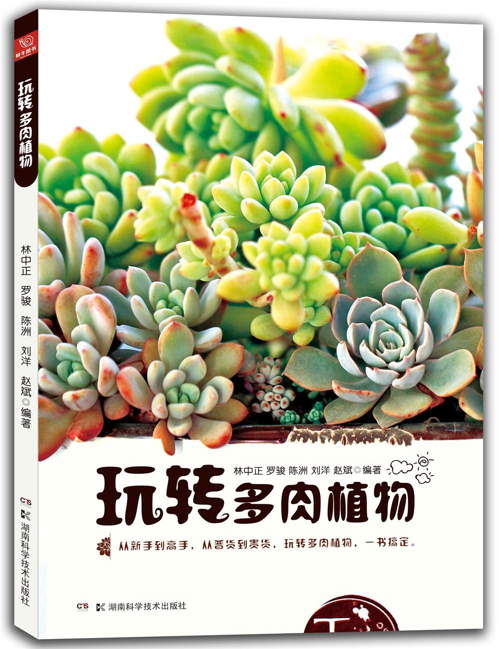 玩转多肉植物