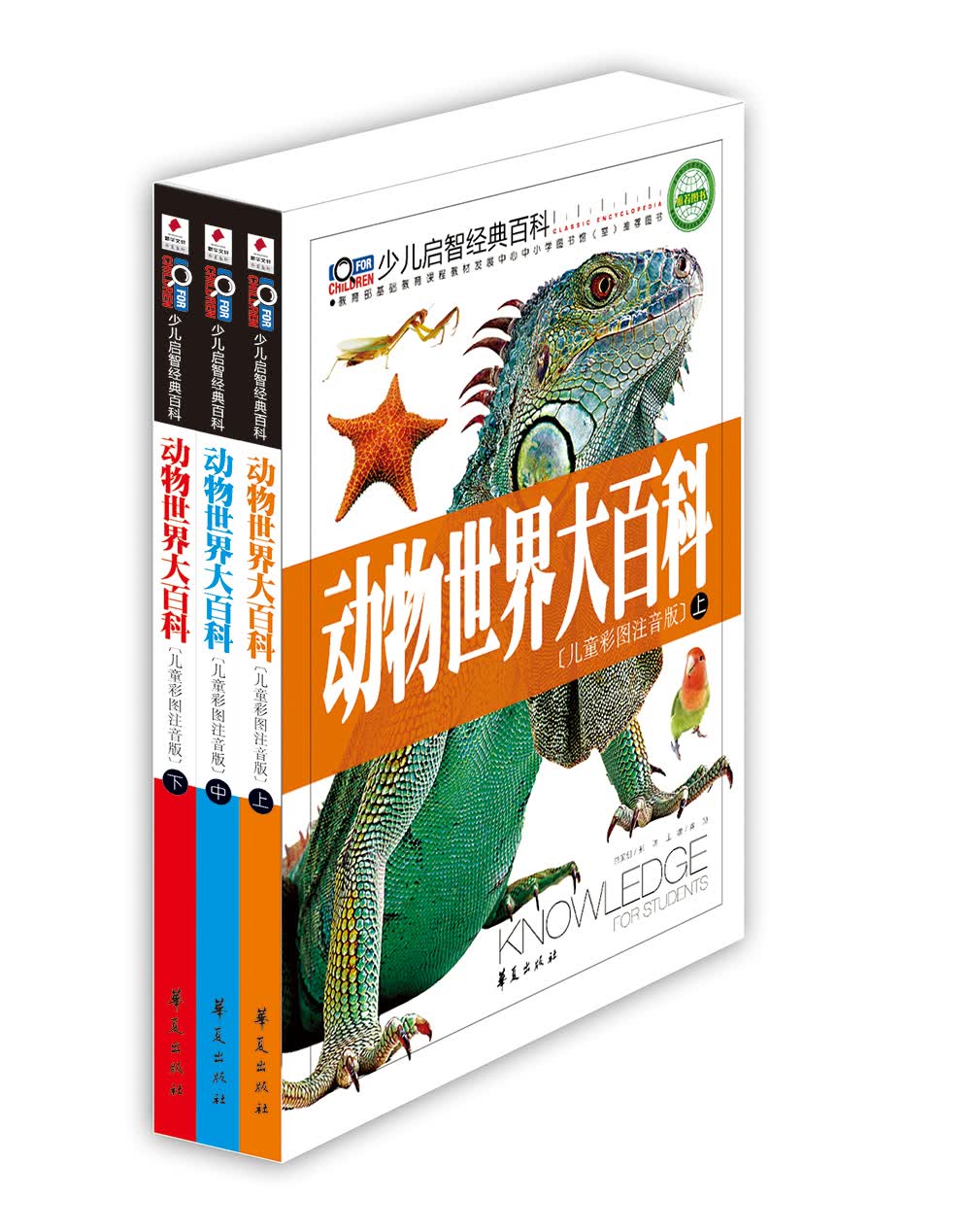 动物世界大百科（儿童彩图注音版）（套装全3册）