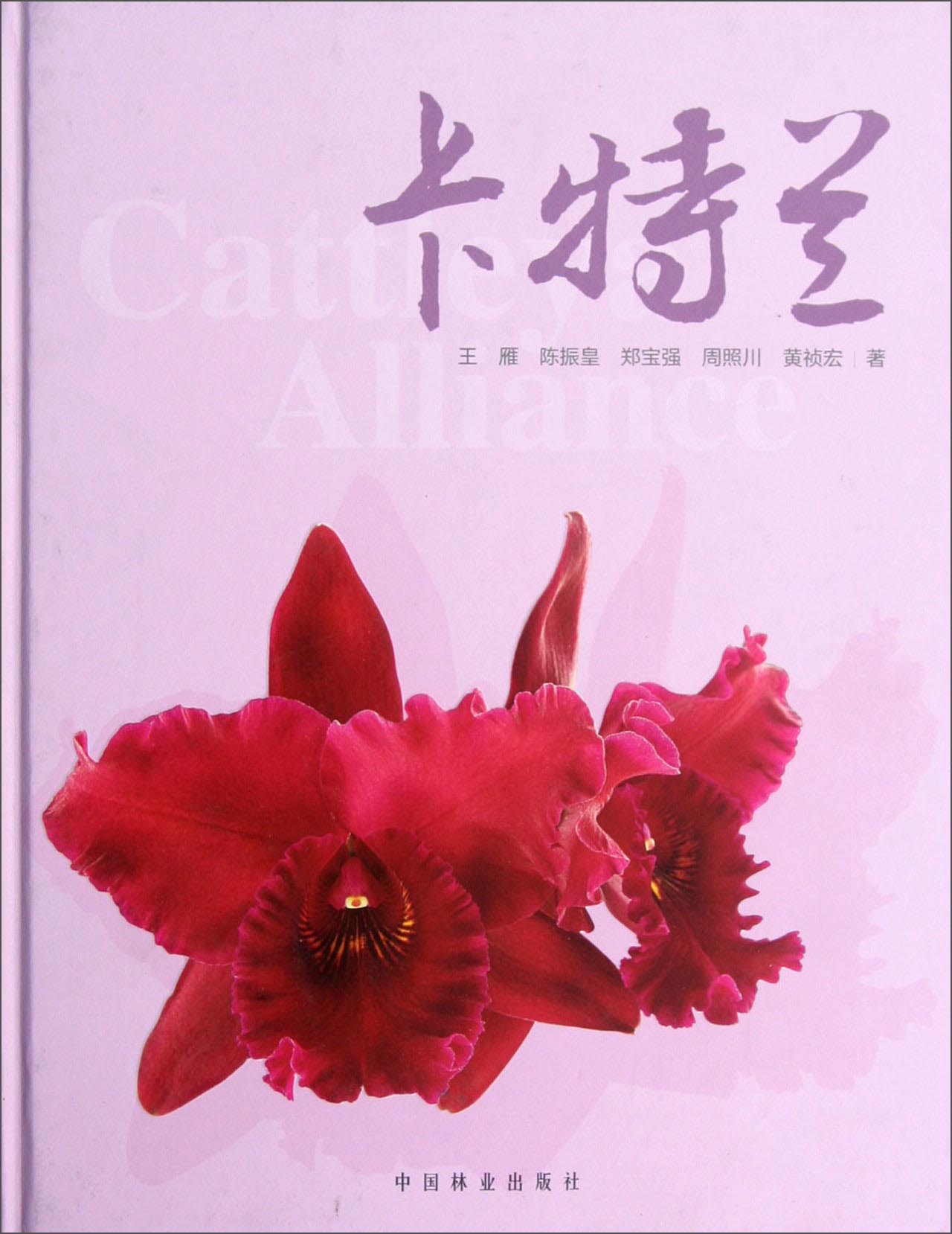 卡特兰