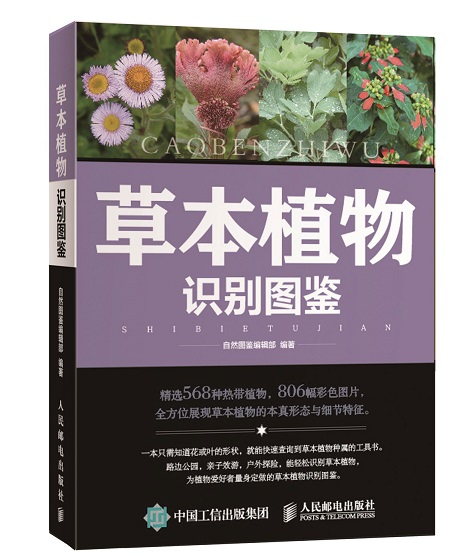 草本植物识别图鉴