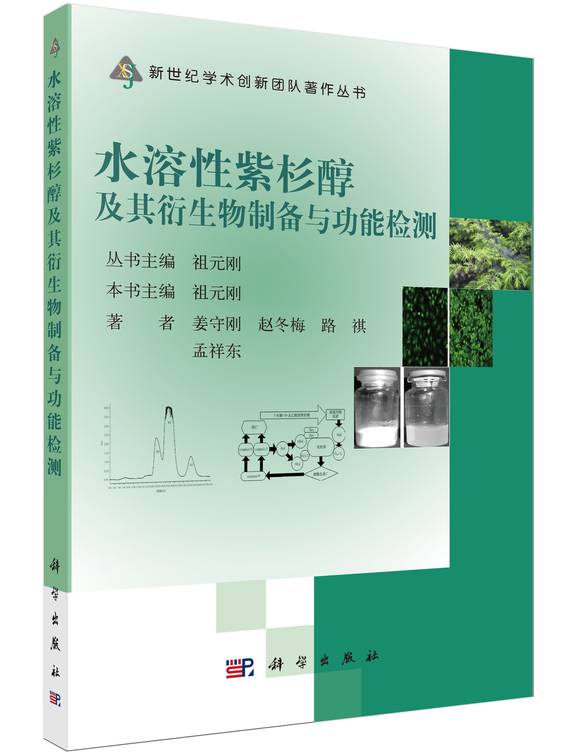 水溶性紫杉醇及其衍生物制备与功能检测